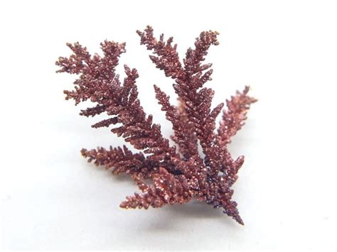 Growing Copper Metal Crystals Using Electricity Part Ii Crystalverse