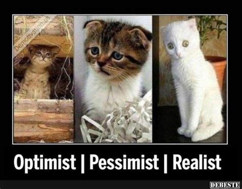 Optimist Pessimist Realist Lustige Bilder Sprüche Witze echt lustig