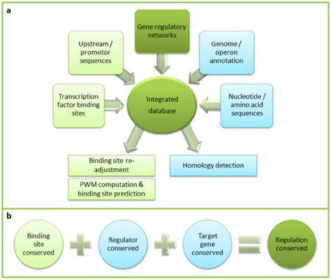 Scheme Of The Transfer Workflow A Simplified Structure Of A Typical Download Scientific