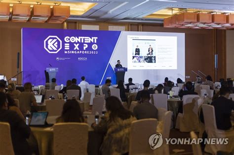 문화체육관광부 한류 콘텐츠 분야 확산 추진 연합뉴스