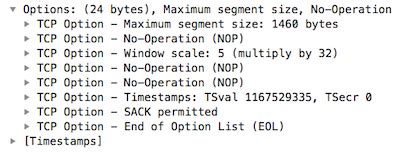 How TCP Works The Timestamp Option