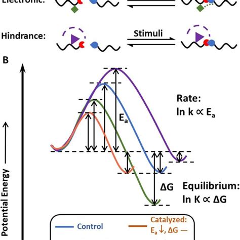 A Generic Dynamic Covalent Chemistry Scheme Related To Equilibrium