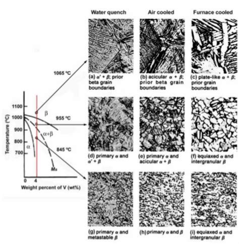 32 Effect Of Cooling Rate On The Microstructure Of Ti6al4v Alloy [25