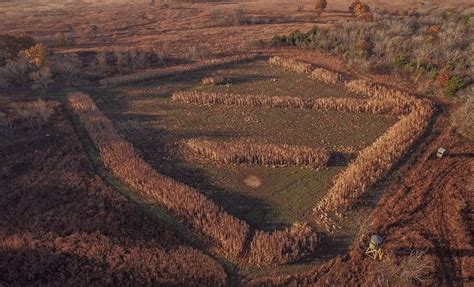 How To Design A Food Plot At Maddison Chidley Blog