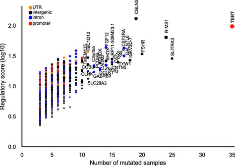 Significantly Functional Mutated Regulatory Elements The Dots Denote Download Scientific