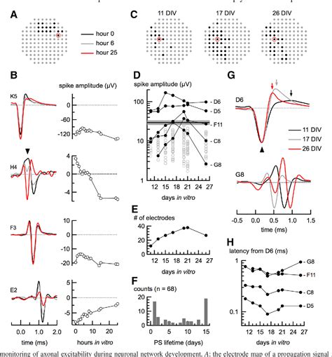 Figure 7 From Action Potential Propagation Recorded From Single Axonal