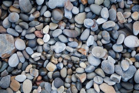 돈 뒤 보증 라벨 리본 황금 별 컬러 빈티지 라벨입니다 고립 된 벡터 일러스트 레이 션 스톡 사진 Freeimages