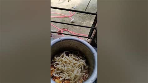 Cooking Homemade Noodles Recipe In 1 Minutes 1minutevideo