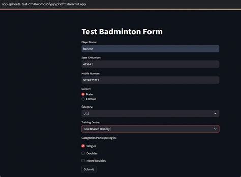 Streamlit Python Excelintegration Api Datamanagement Git Github Hariesh Rajput