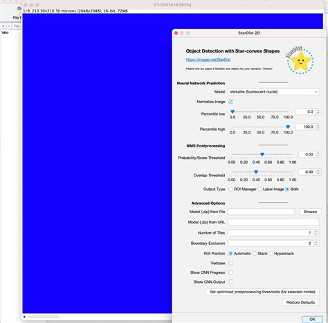 using stardist without the user s intervention image analysis image