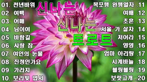 상큼한 트로트 메들리 트로트 신곡 메들리 Playlist Youtube