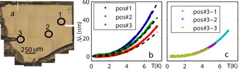 Inhomogeneity In ∆λ Ab T Observed In An X 11 Sample A