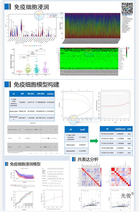 ceRNA网络联合免疫细胞浸润文章套路 学习视频教程 腾讯课堂