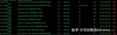 K8s集群无法通过service Name访问的故障 知乎