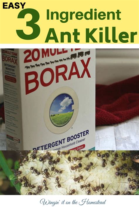 Bug Killer Artofit