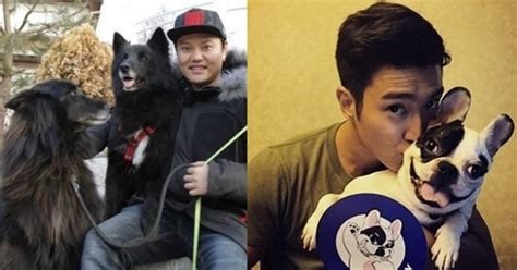 반복되는 개 물림 사망사고 예방 어떻게