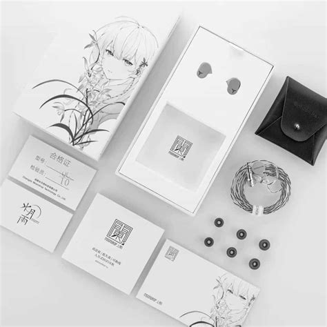 Moondrop Introduces LAN: Brand New Affordable IEM With 10mm Dual-Cavity ...