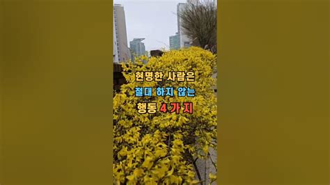 현명한 사람은 절대 하지 않는 행동 4가지 명언 좋은글 인생철학 Youtube