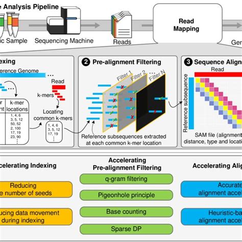 A The Three Steps Of Read Mapping In Genome Analysis 1 Indexing