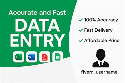 do fast and accurate data entry in excel by fasttypingadity fiverr