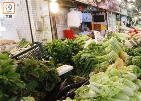 內地供港鮮活食品充足 蔬菜供應昨2500公噸｜即時新聞｜港澳｜oncc東網