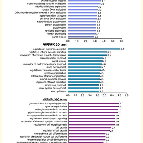 Gene Ontology Analysis Of Rna Seq Data Gene Ontology Analysis Were