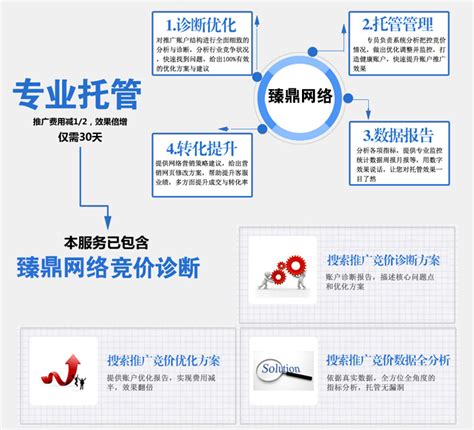 全网营销外包 竞价托管外包 臻鼎网络科技有限公司