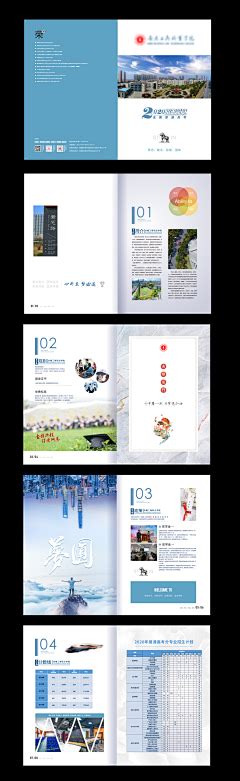 河西成功学校 花瓣网 陪你做生活的设计师 学校招生简章手册 源文件