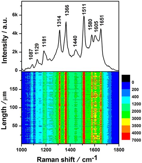 The Raman Spectrum Of R6g Aqueous Solution 1 × 10−10 M On The