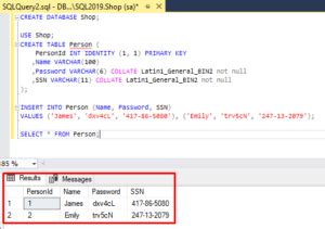 Column Level SQL Server Encryption Example Using SQL Complete Devart Blog