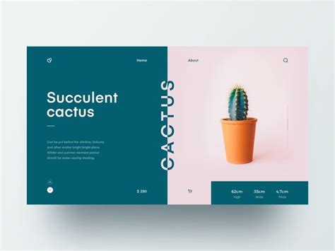 Cactus Web Design Inspiration Web Inspiration Web Layout Design