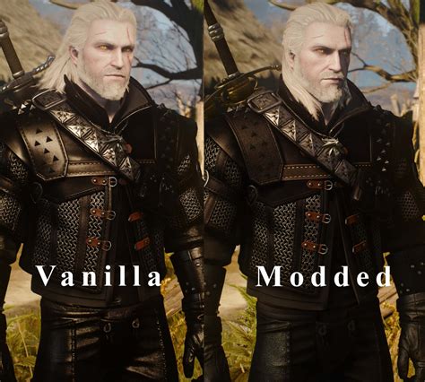 Top Witcher Mods Qleropod