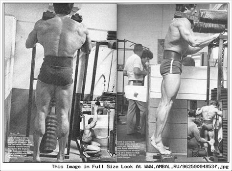 Фрэнк Зейн Frank Zane фотографии биография соревнования бодибилдинг