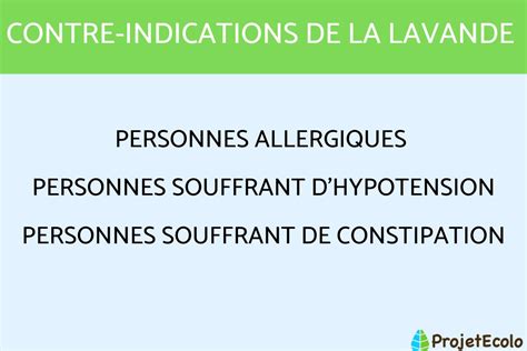 Lavande PropriÉtÉs Bienfaits Et Contre Indicationts
