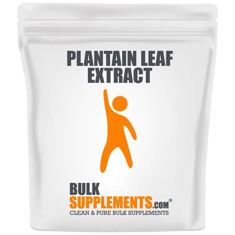 Plantain Leaf Extract Wholesale