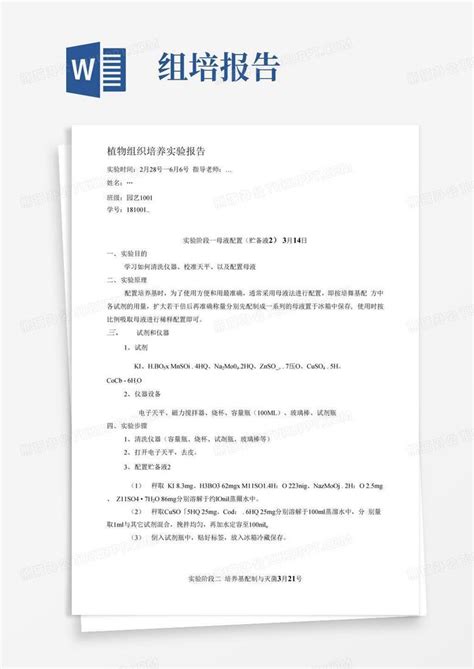 组培实验报告Word模板下载 编号qxzxwvwv 熊猫办公