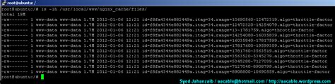 Youtube Caching With Squid Nginx Support4tech