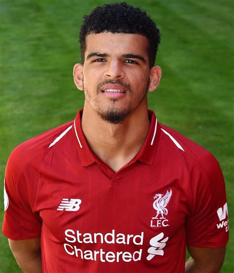Dominic Solanke Liverpool Fc Wiki Fandom
