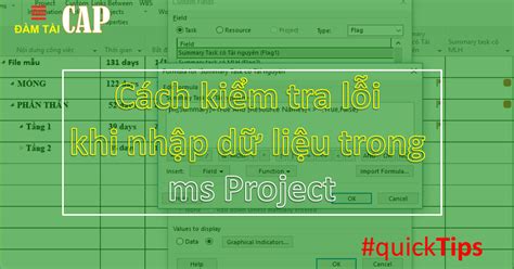 MS Project Quick Tips Cách kiểm tra lỗi khi nhập dữ liệu trong ms