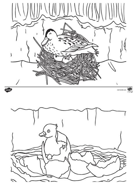 T T 3724 The Ugly Duckling Story Colouring Sheets Ver 2 Pdf