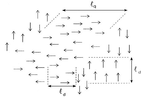 16 Schematic Representation Of Dipolar And Quadrupolar Correlation