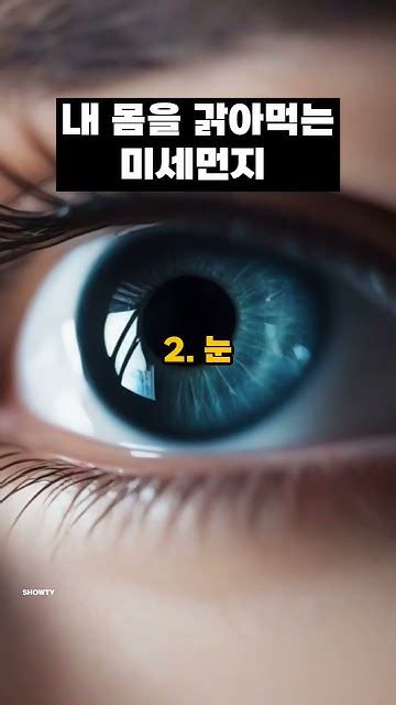 마스크를 써야하는 이유 미세먼지 Youtube