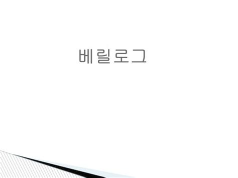 베릴로그의 이해