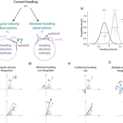 The Circular Kalman Filter As An Ideal Observer Model For Heading