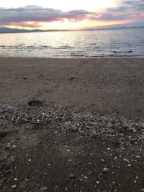 ”人生は、あなた自身の人生に愛と光をもたらすことに焦点をあてる、あなたの周りにいる人々の人生に” Ikukoのブログ