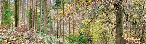 Staplefield And Handcross Circular 29 Reviews Map West Sussex