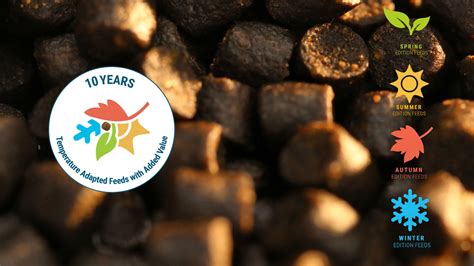 Aller Aqua Celebrating A Decade Of Temperature Adapted Feeds Taf