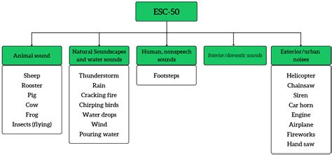 Sensors Free Full Text Forest Sound Classification Dataset FSC22