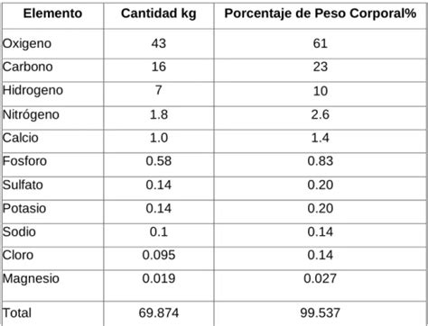 Índice De Masa Corporal Y Grasa Corporal Clínica De Nutrición Y