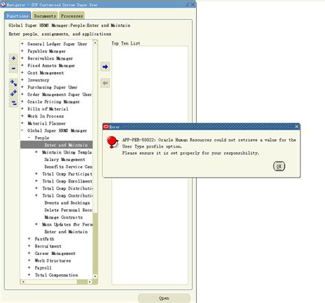 APP PER 50022 System Administrator Profile System HR User Type